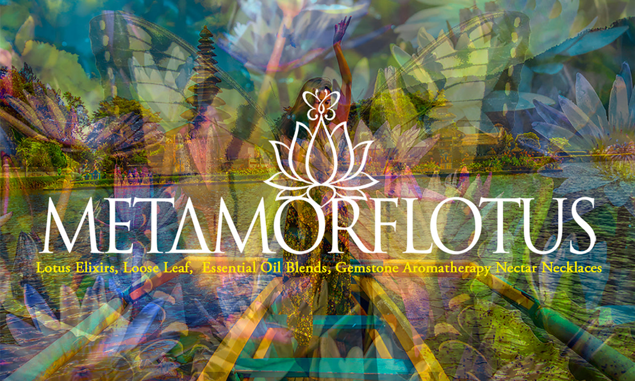 Benefits Of The Blue Lotus Flower – METAMORFLOTUS