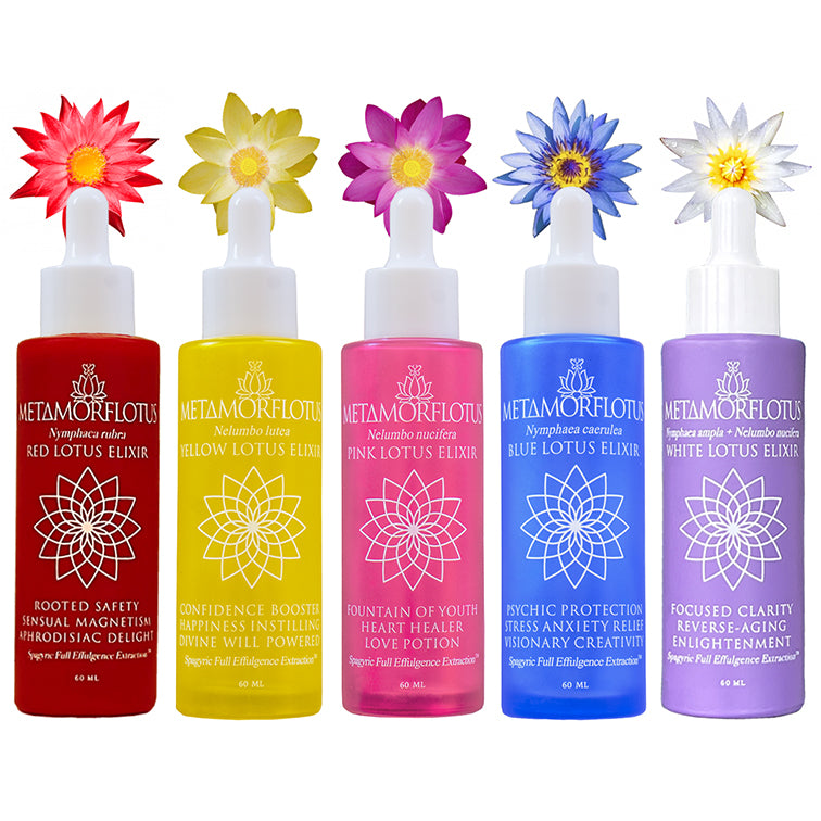 Full Lotus Spagryic Elixir Quintet Set – METAMORFLOTUS
