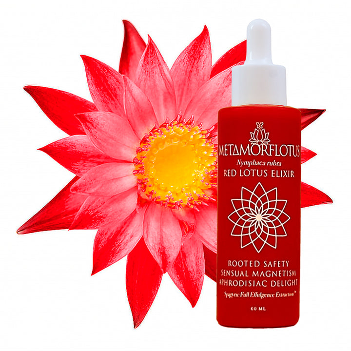 Products – METAMORFLOTUS