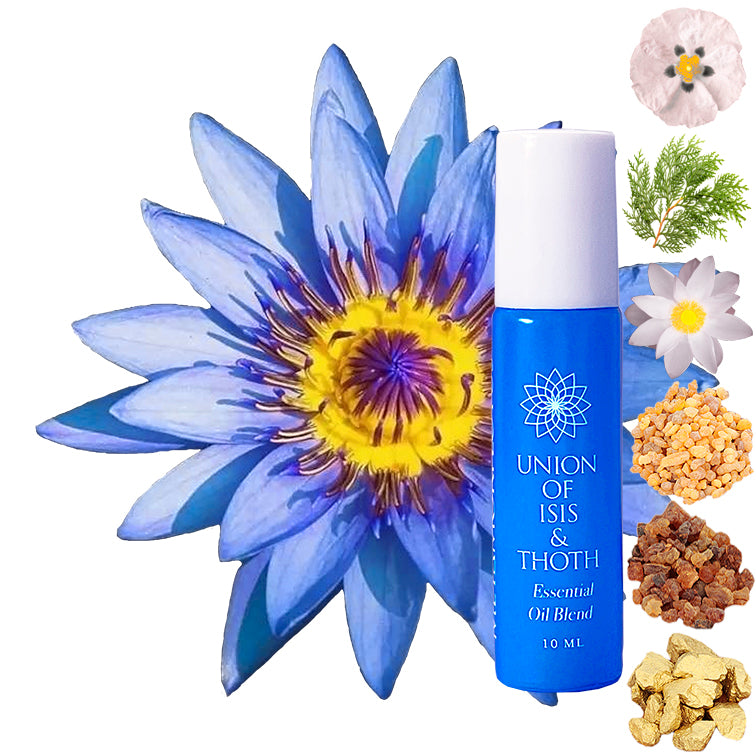 “Union of Isis & Thoth” Essential Oil Blend – METAMORFLOTUS